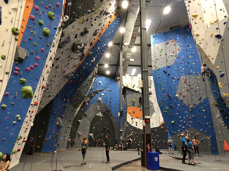 This Englewood Gym Takes Sport to New Heights