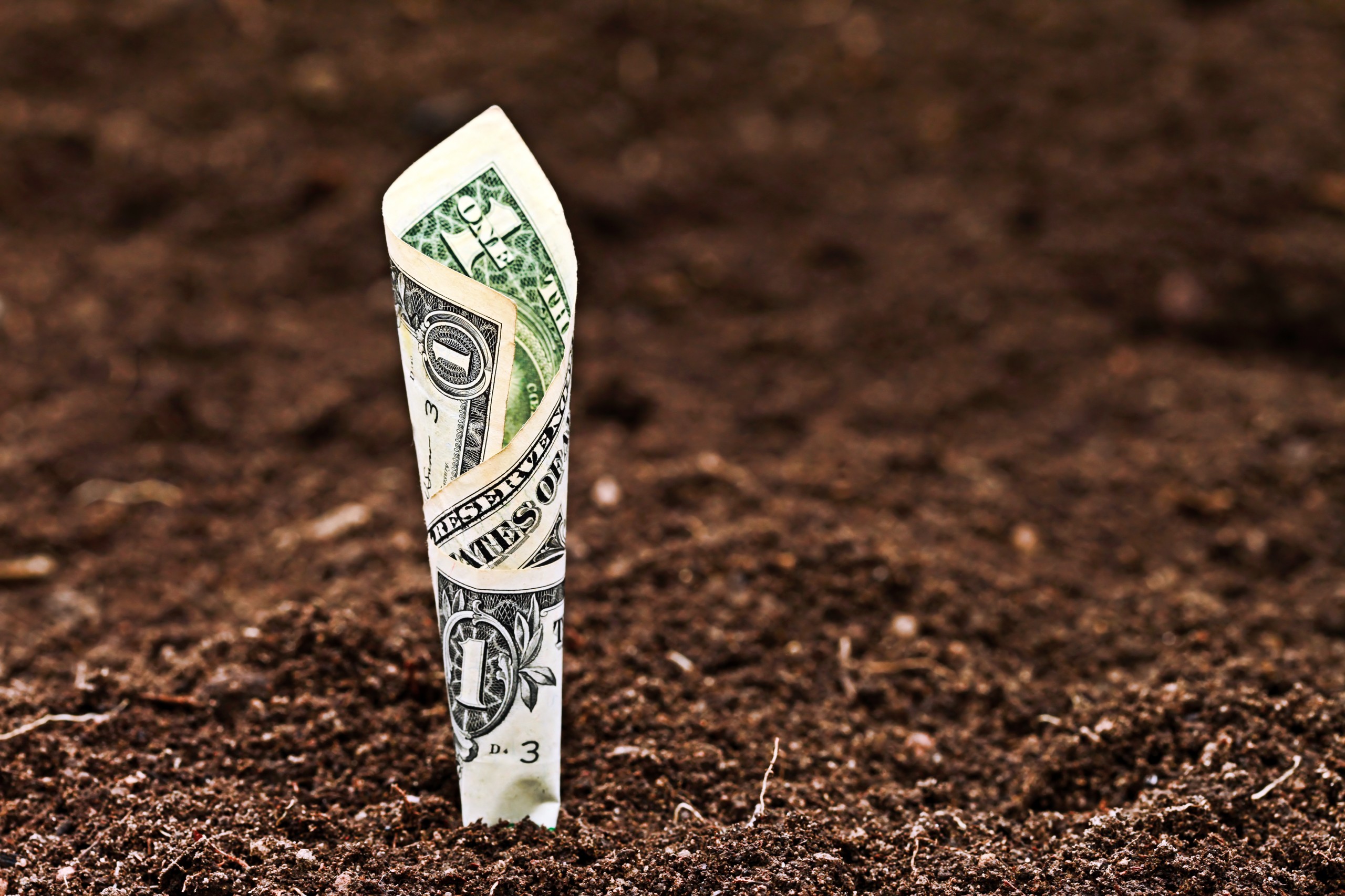 The Economics of Exploitation