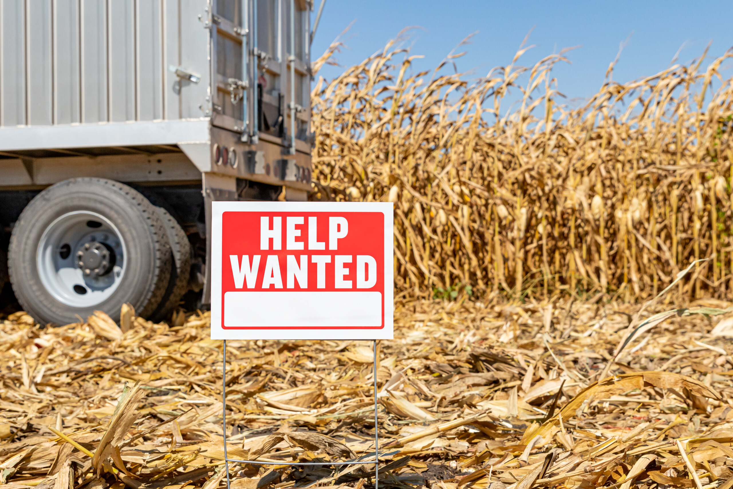 US Farm Labor Shortage: Affordable and Secure Food Act Fails to Pass in ...