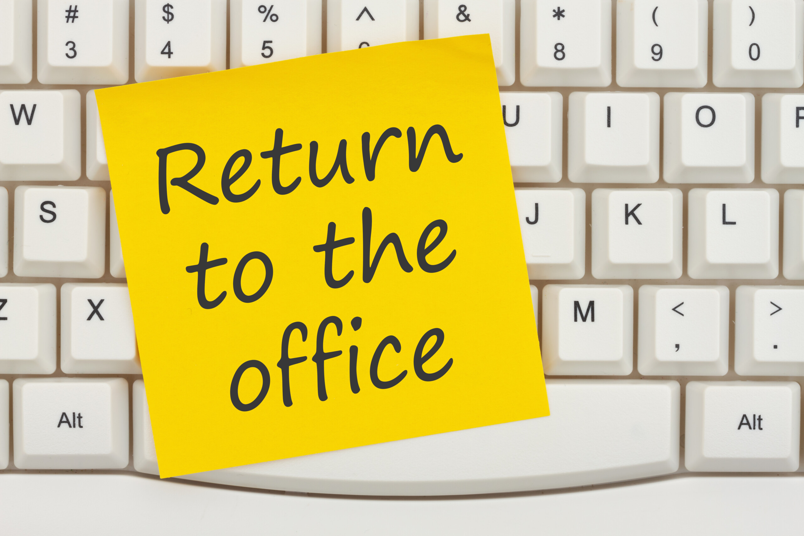 Navigating the Post-Pandemic Workplace: Struggles, Solutions and the ...