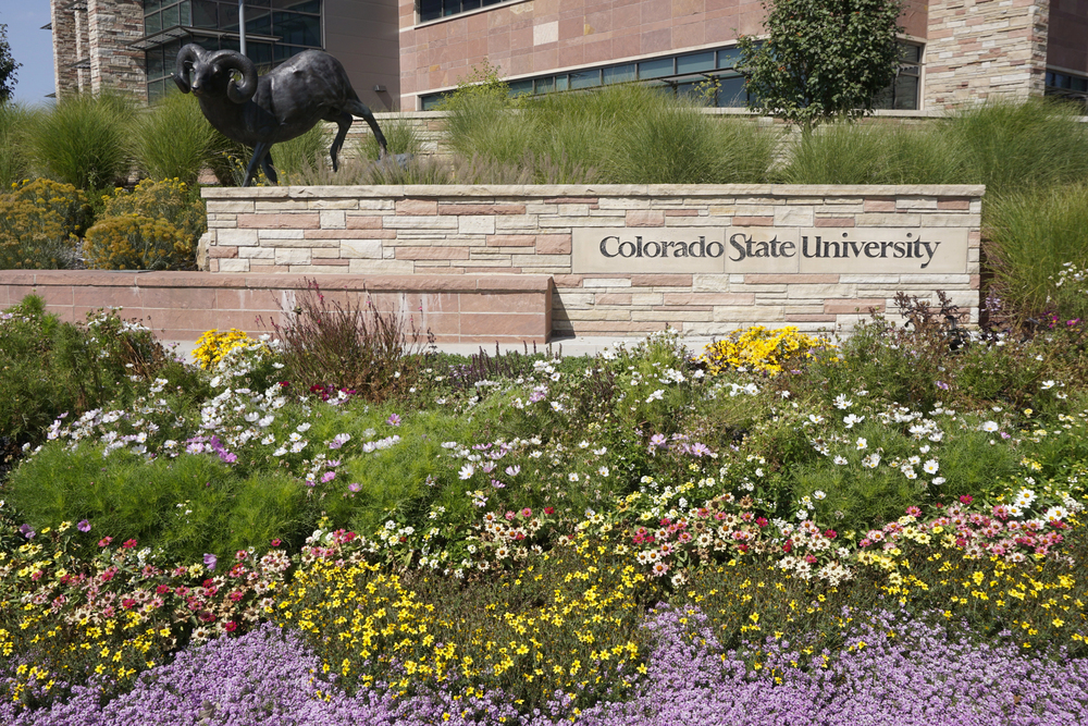 CSU Global and CMC partner to expand access