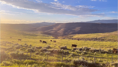 Colorado declares statewide drought emergency amid record low snowpack