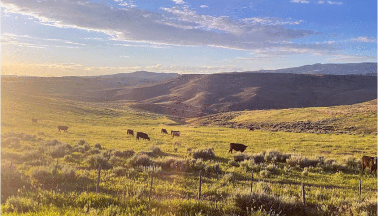 CSU hosts drought workshops for Colorado farmers and ranchers